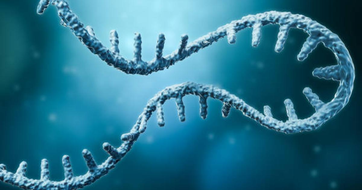 ARN environnemental et thanatotranscriptomique | Agence Science-Presse